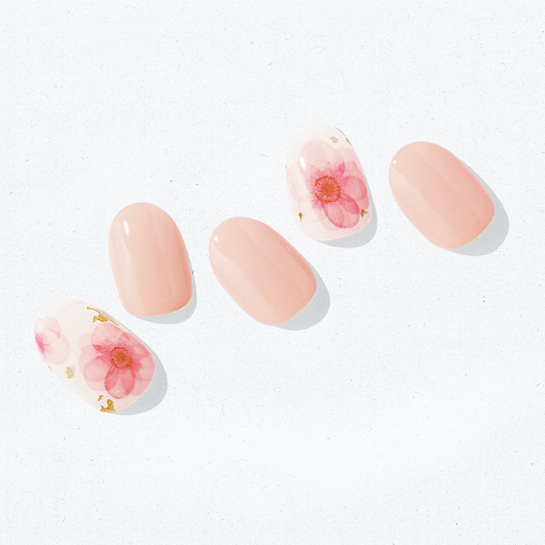 Ohora N Pink Breeze ND-051 – Ohora Hong Kong